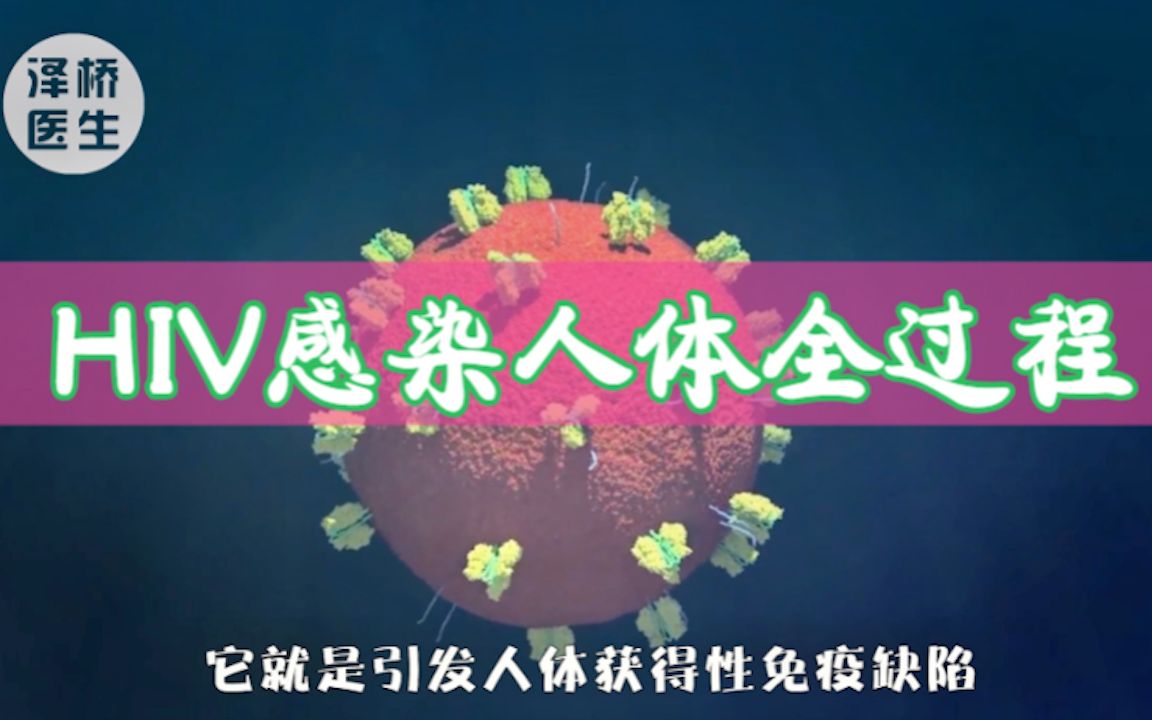 艾滋病病毒进入人体HIV感染人体全过程