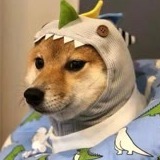 小恐龙