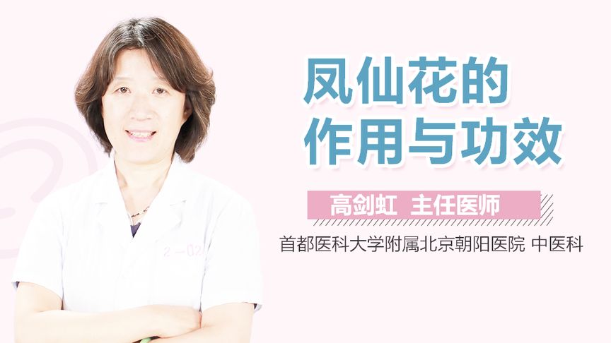 凤仙花的作用与功效