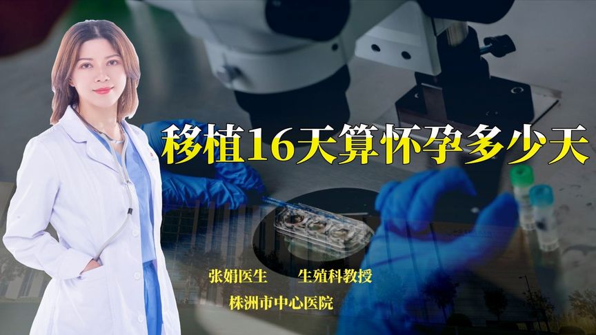 移植16天算怀孕多少天呢?医生给出了明确答案