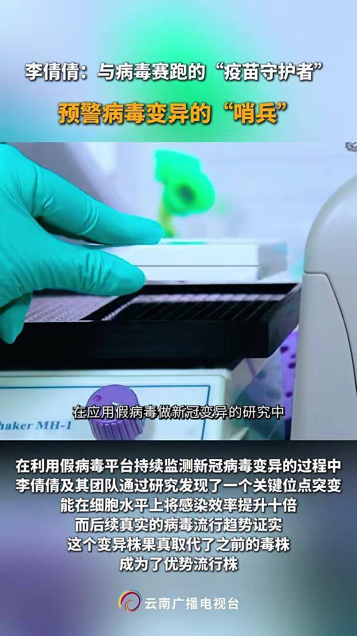 在利用假病毒平台持续监测新冠病毒变异的过程中,李倩倩及其团队...