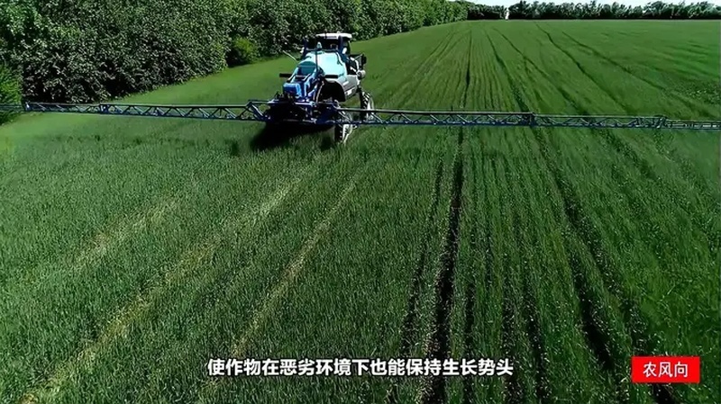 过磷酸钙肥料的作用与功效