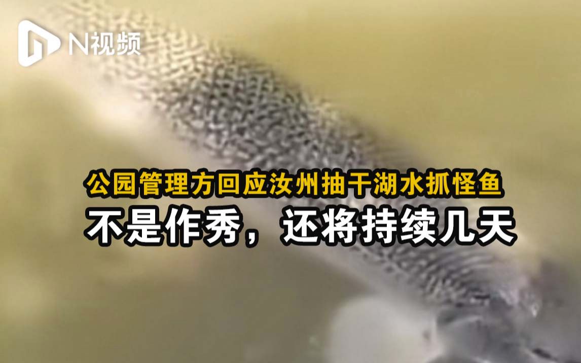 公园管理方回应汝州抽干湖水抓怪鱼:不是作秀,还将持续几天