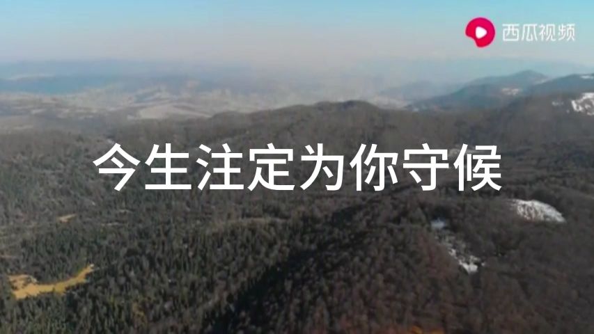 伤感情歌今生注定为你守候
