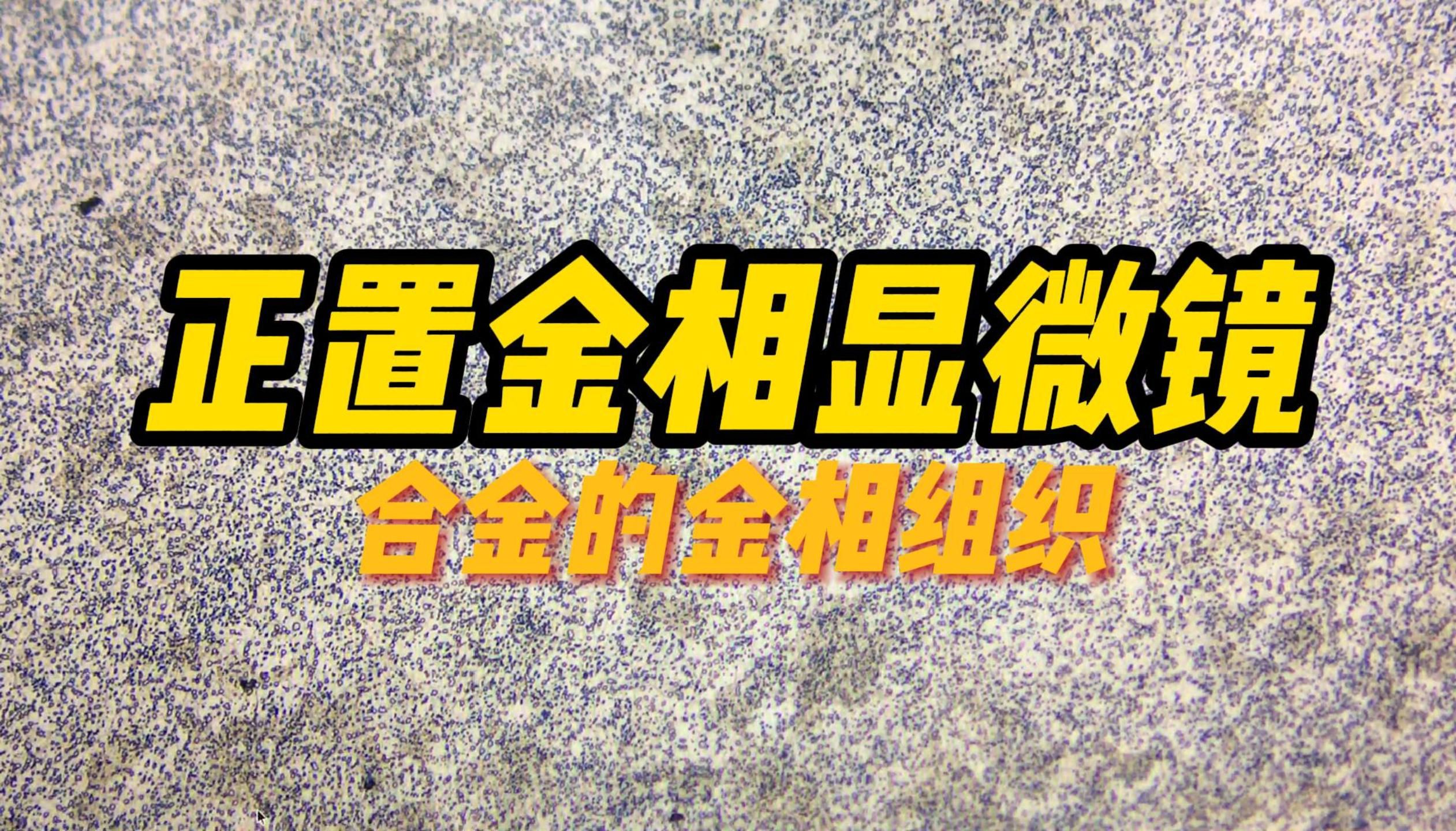 正置金相显微镜—西恩士工业分享