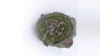 Pano2VR6 最新版全景动画教程002
