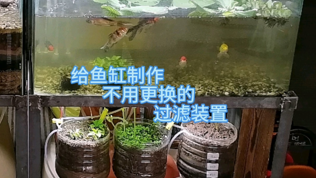给鱼缸制作不用更换的过滤装置