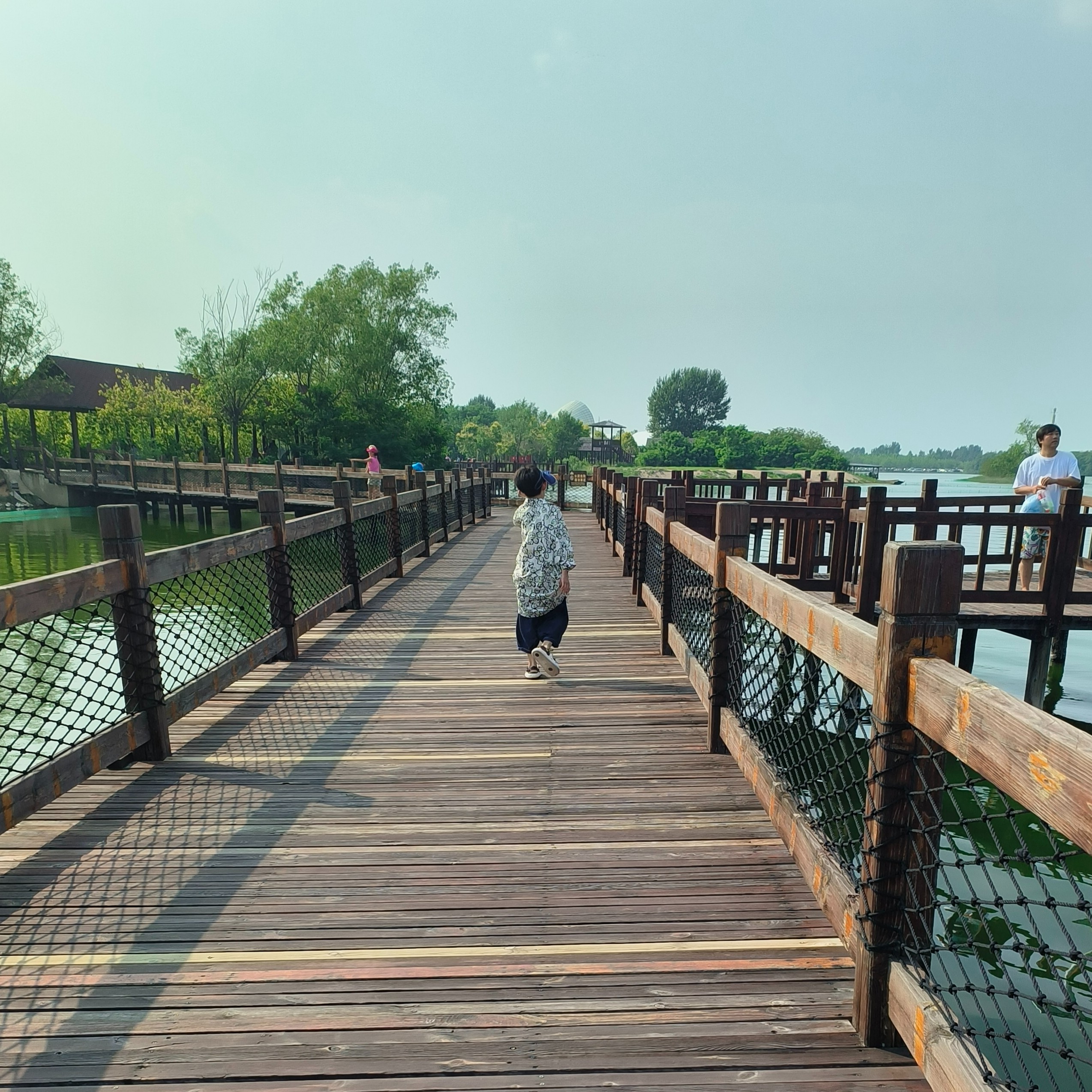 阁楼里的小花喵 