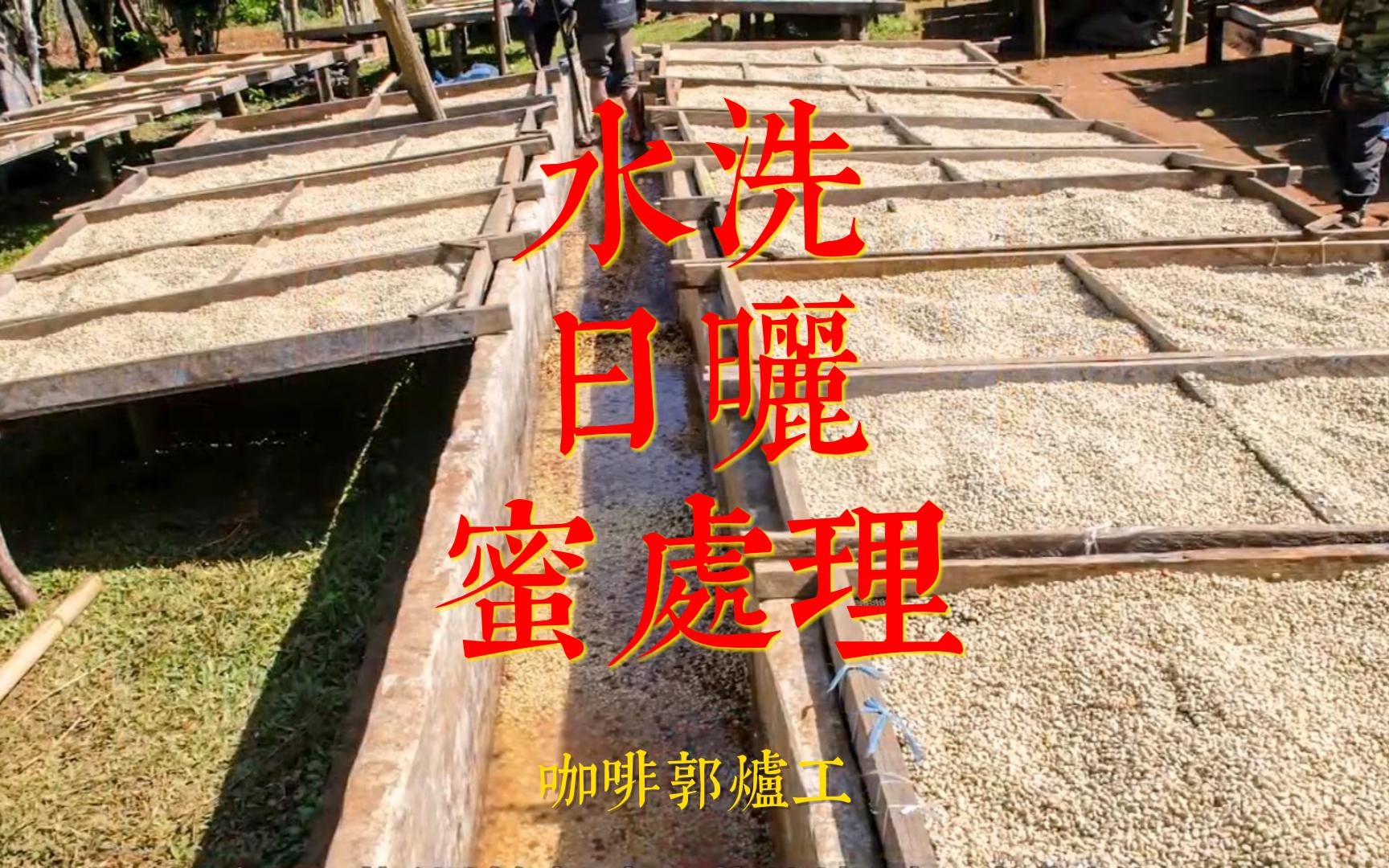 水洗,日晒,蜜处理,一个视频给你讲清楚