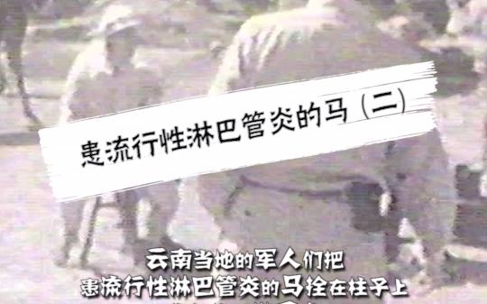 患流行性淋巴管炎的马(二)