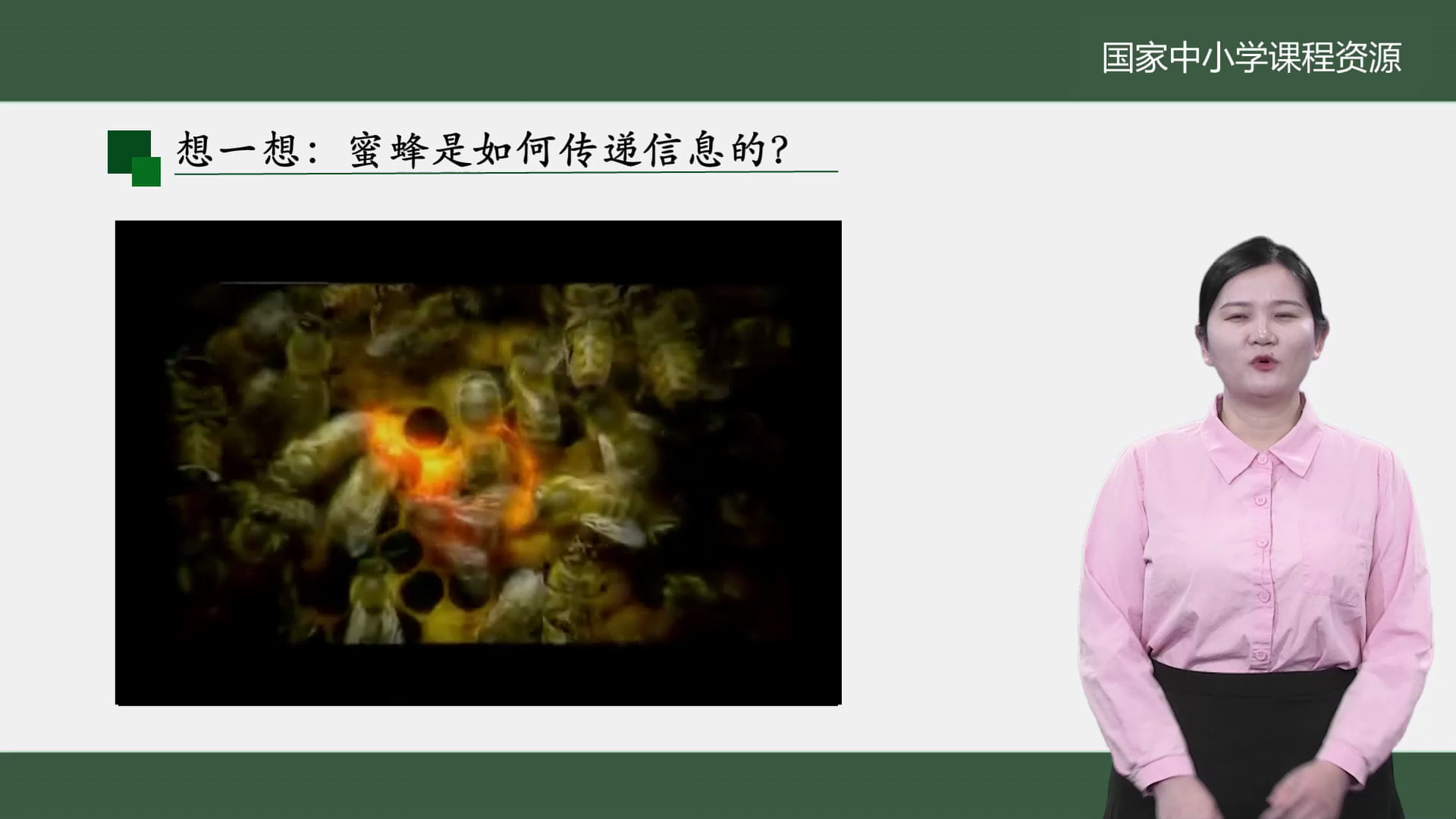 17.1 信息与信息传播