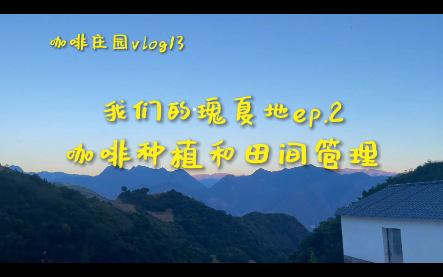 我们的瑰夏地ep.2咖啡种植和田间管理