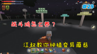 迷你世界幼稚园29:战斗鸡怎么养?江叔教你种植变异蘑菇