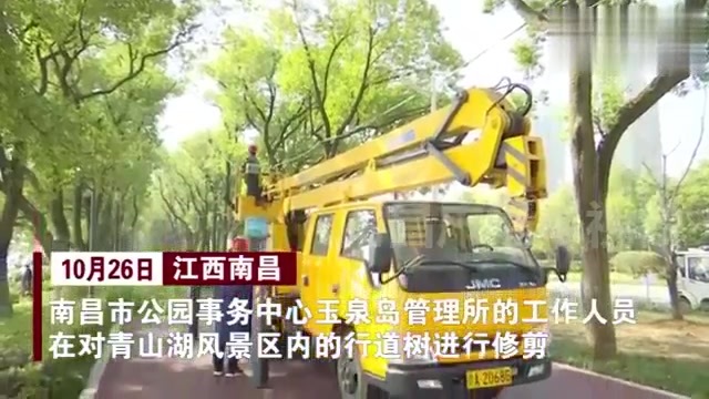 南昌绿化修剪正当时提升景区新颜值