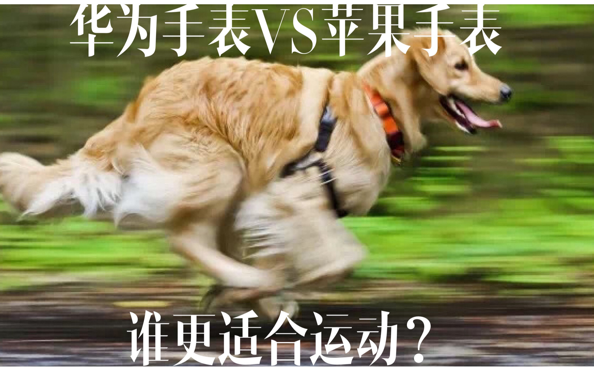 【对比】华为手表VS苹果手表,谁更适合运动