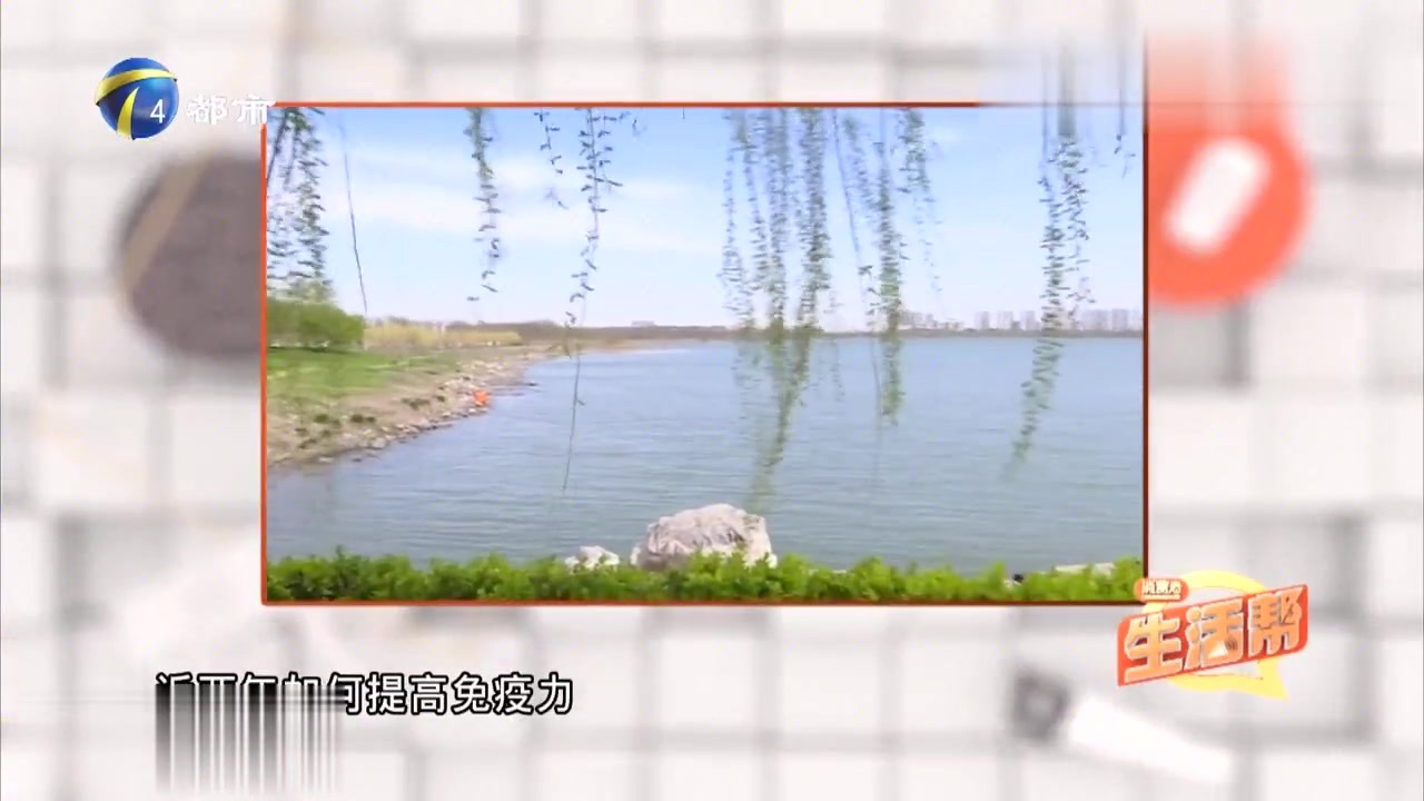 ...b>灵芝孢子粉有何功效.