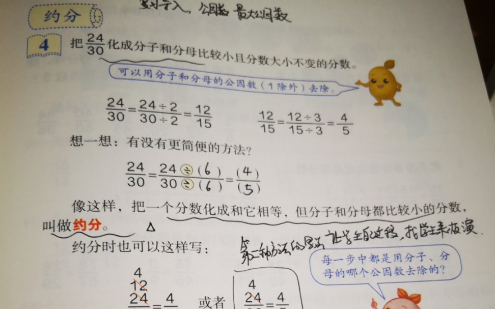 小学数学 约分 五下
