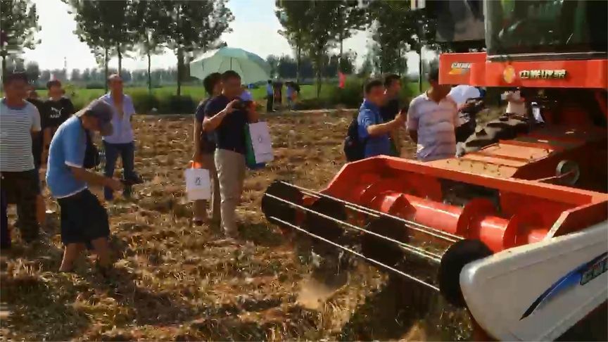 2019年全国花生机械装备现场会暨花生农机农艺融合社会化服务论坛