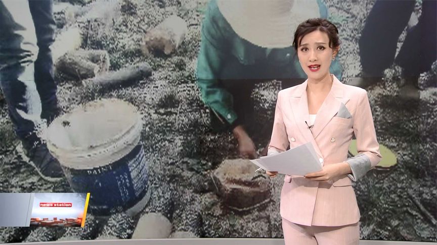 地铁施工擅自占用绿地被处罚 西安城管通报多起毁林毁绿典型案例