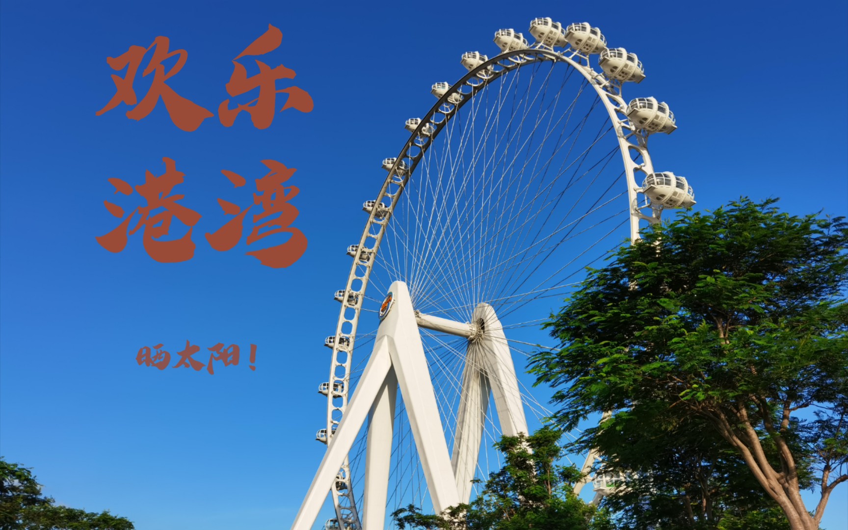 ...打鸟,你不来打卡吗?华为P40+奥川稳定器,app支持移动延时盗梦空间等