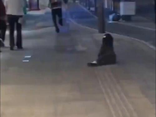 宝宝走累了等妈抱,妈妈撒丫子开跑,网友:小样儿,这些都是我们玩剩下的!