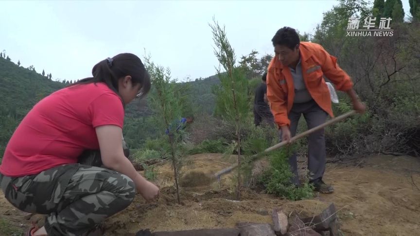 在石板上种树总共分几步?——看“五步造林法”让荒山染绿吐翠