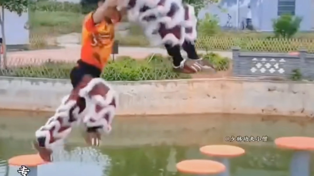 中国舞狮,世界一绝!"高难度动作 "舞狮表演