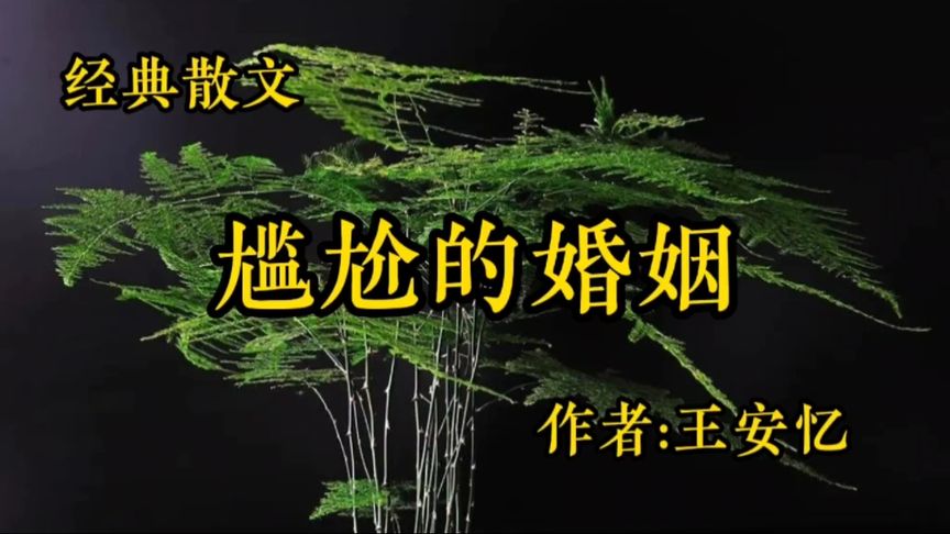《尴尬的婚姻》作者,王安忆