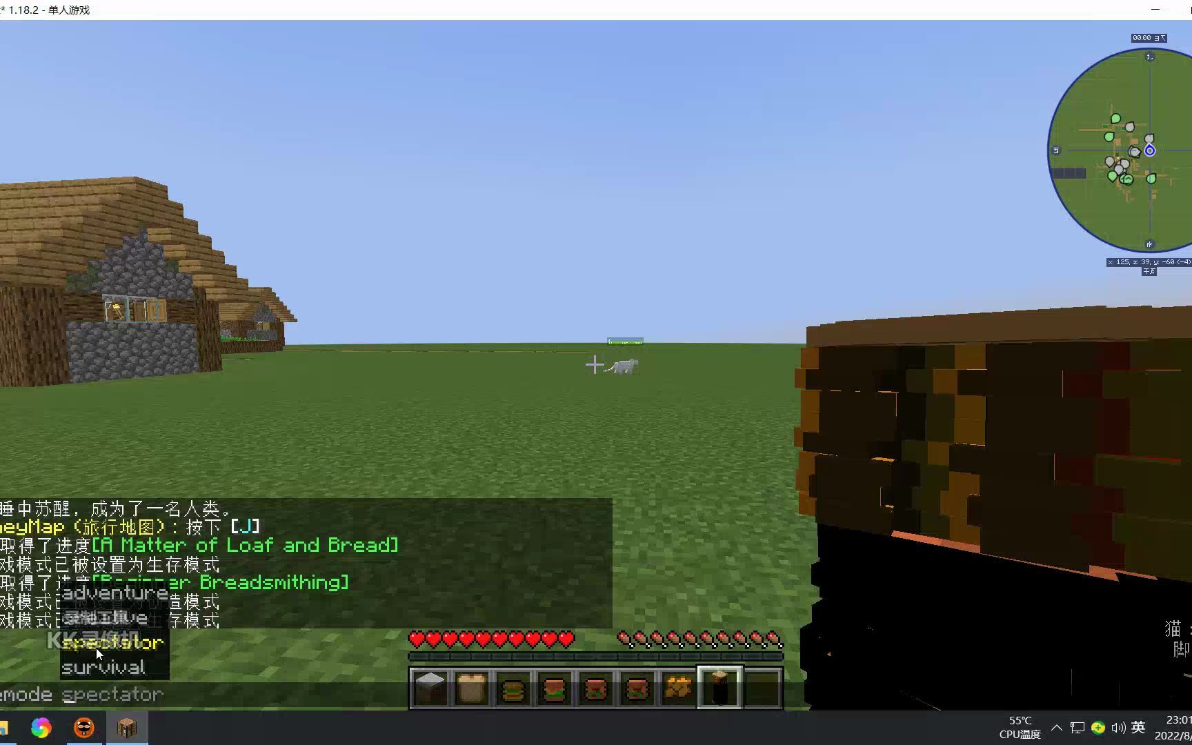 我的世界1.18.2模组介绍:自制三明治mod