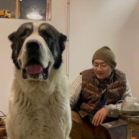明亮与狗