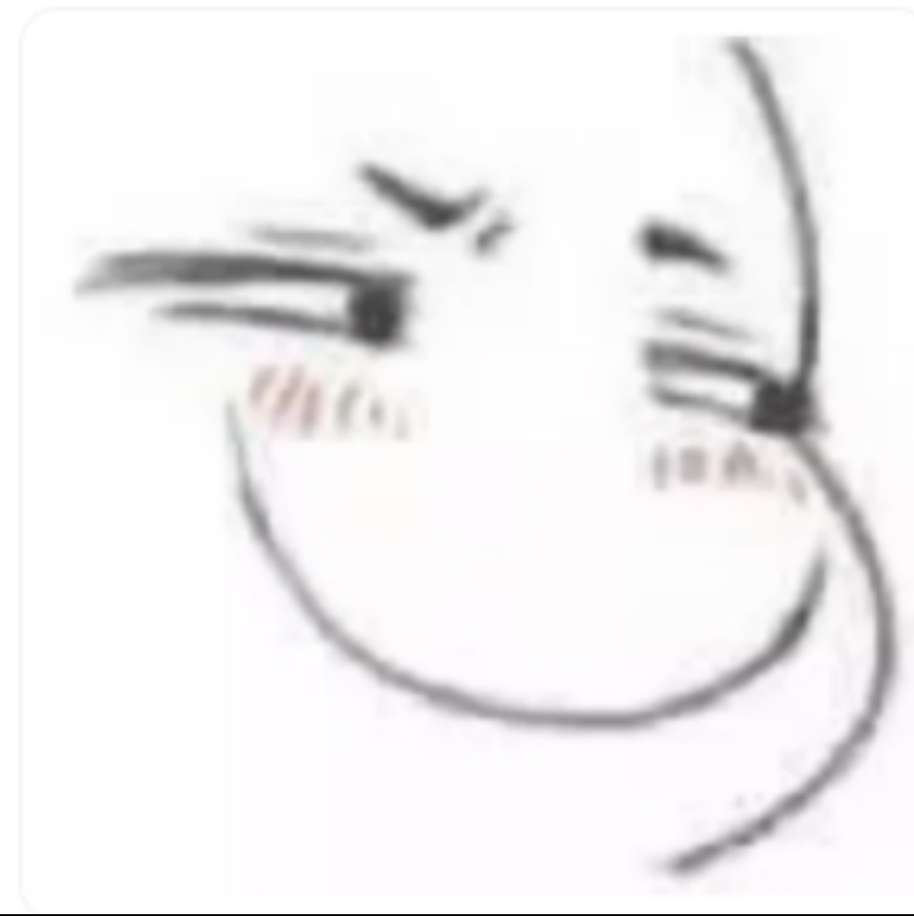 老柚就是莽 