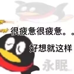 碧落藤Nob 