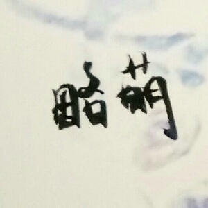 略萌的子樣 