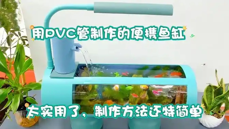 用PVC管制作的便携鱼缸,太实在用了,制作方法还特简单
