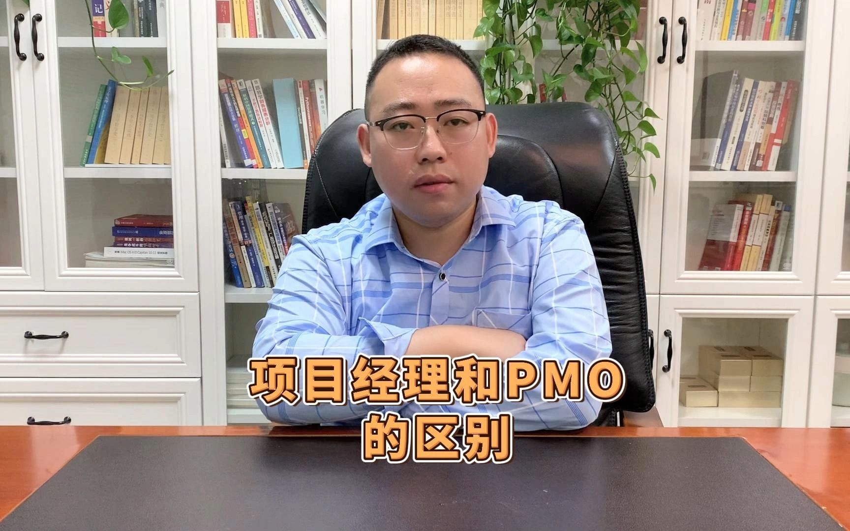 项目经理和PMO的区别