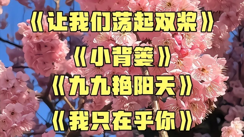 《让我们荡起双桨》《小背篓》《九九艳阳天》《我只在乎你》