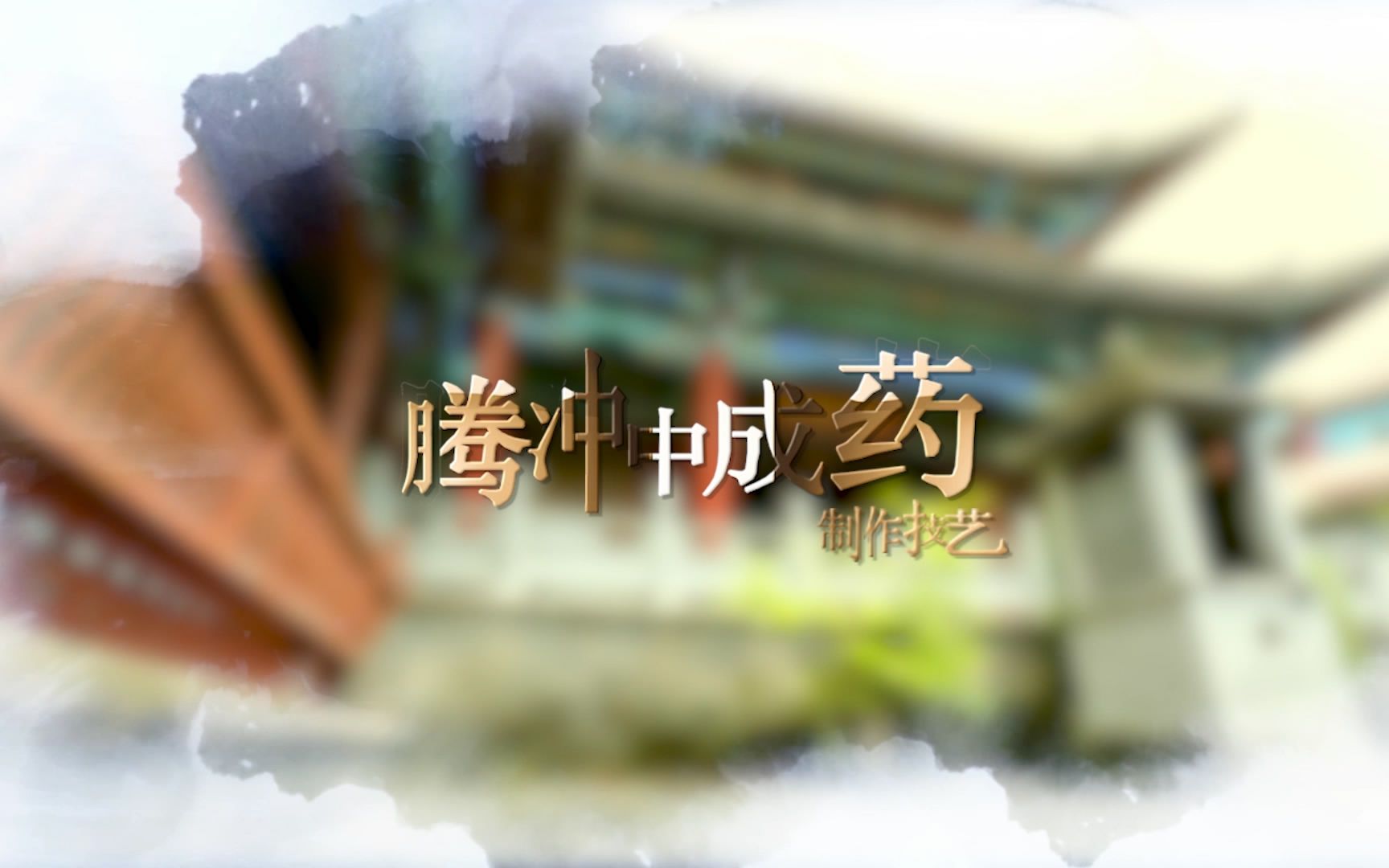 腾冲中成药制作技艺-云南省非物质文化遗产代表性项目