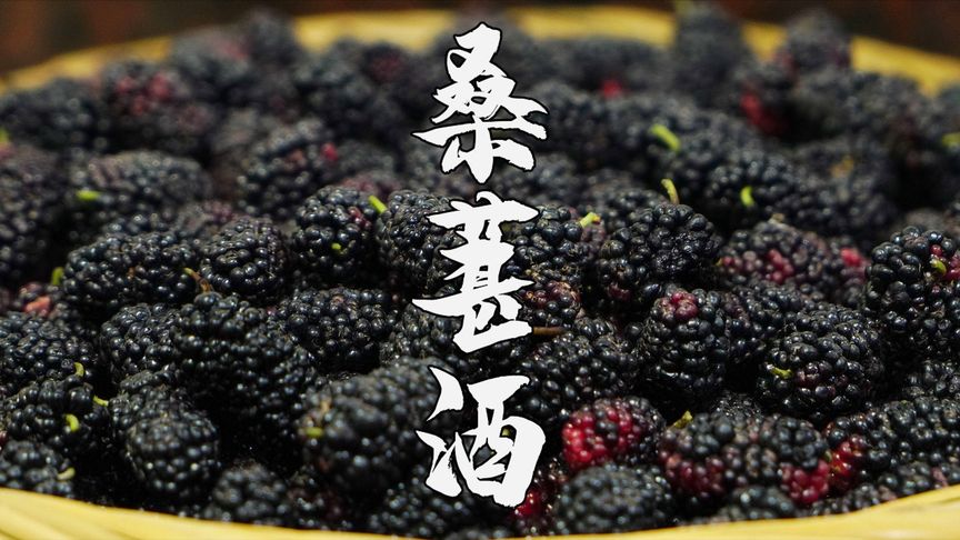 桑葚泡酒，学会这一步，桑葚酒口感更醇更耐放
