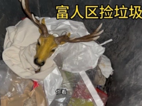 富人区捡垃圾 盘点城市富人区垃圾桶能捡到什么东西?