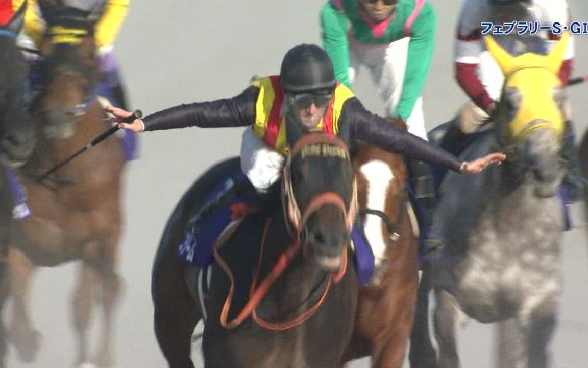 2018年JRA骑手制裁点排行榜—杜飞机险胜终夺冠