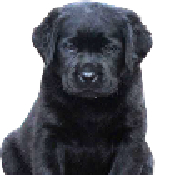 c和cplus中文资料站 