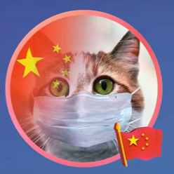小猫小狗三结义 