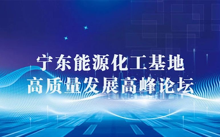 汪一鸣:宁东能源化工基地高质量发展的思考(三)
