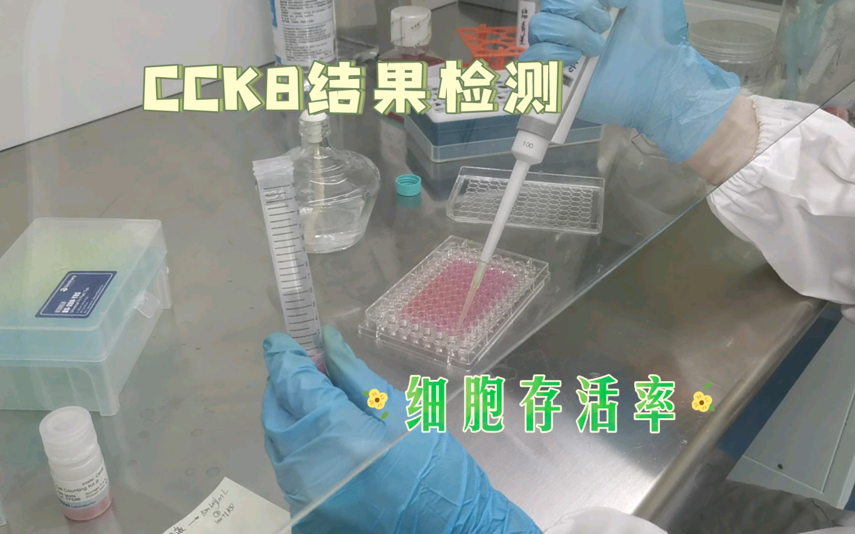 (细胞CCK8实验第三天)CCK8试剂的配置及结果检测