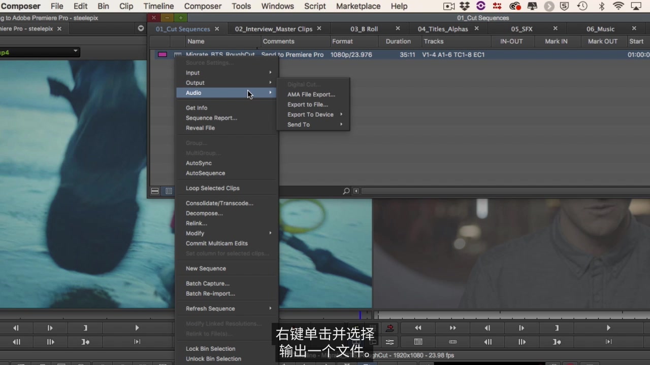 如何在 Pr 中打开 AVID 工程文件
