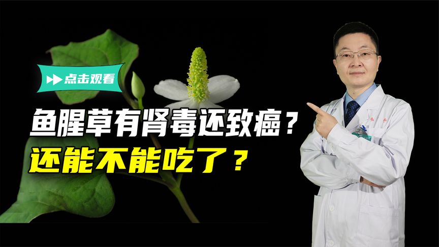 鱼腥草含一级致癌物,伤肾还致癌?还能不能吃?医生告诉你