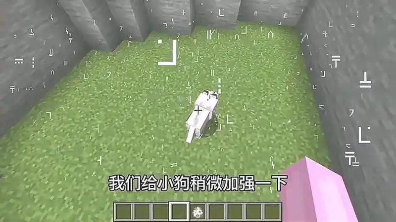 我的世界,一只狗VS1000个him
