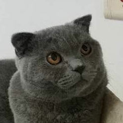 墨迹墨迹灬 