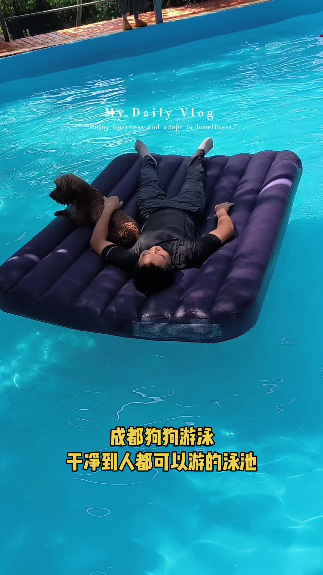 成都狗狗游泳|水质干净到人都可以游的狗狗泳池!