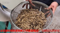 山东颗粒特机械有限公司稻壳试机视频